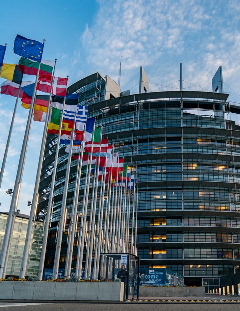 Govt Business Banking Platform | Mindgate Solutions Private Limited